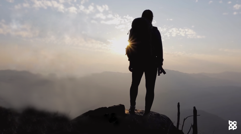 Working to Prevent Breast Cancer with BCPP – Everviolet